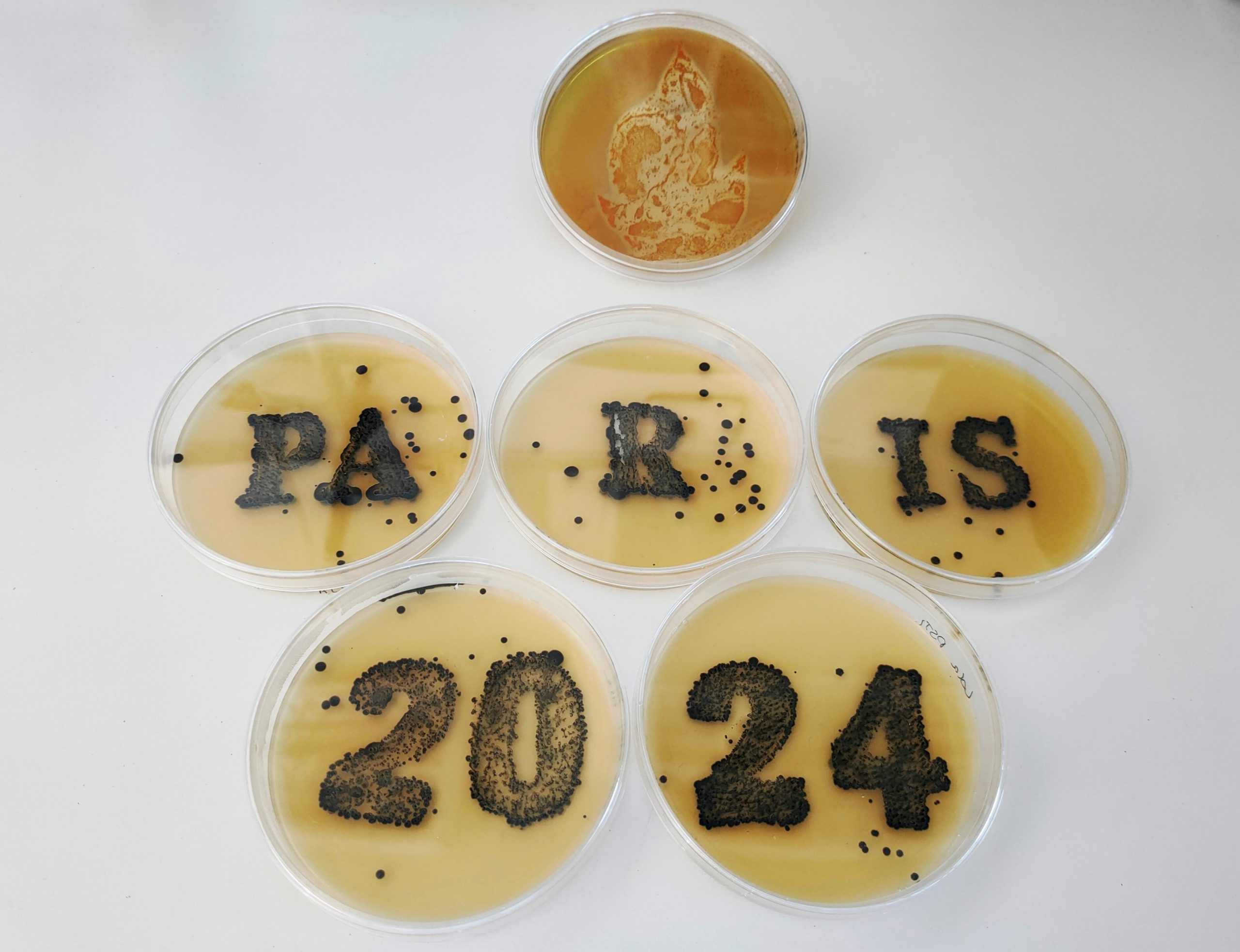 Paris 2024 et la flamme olympique - Agar'Art Concours